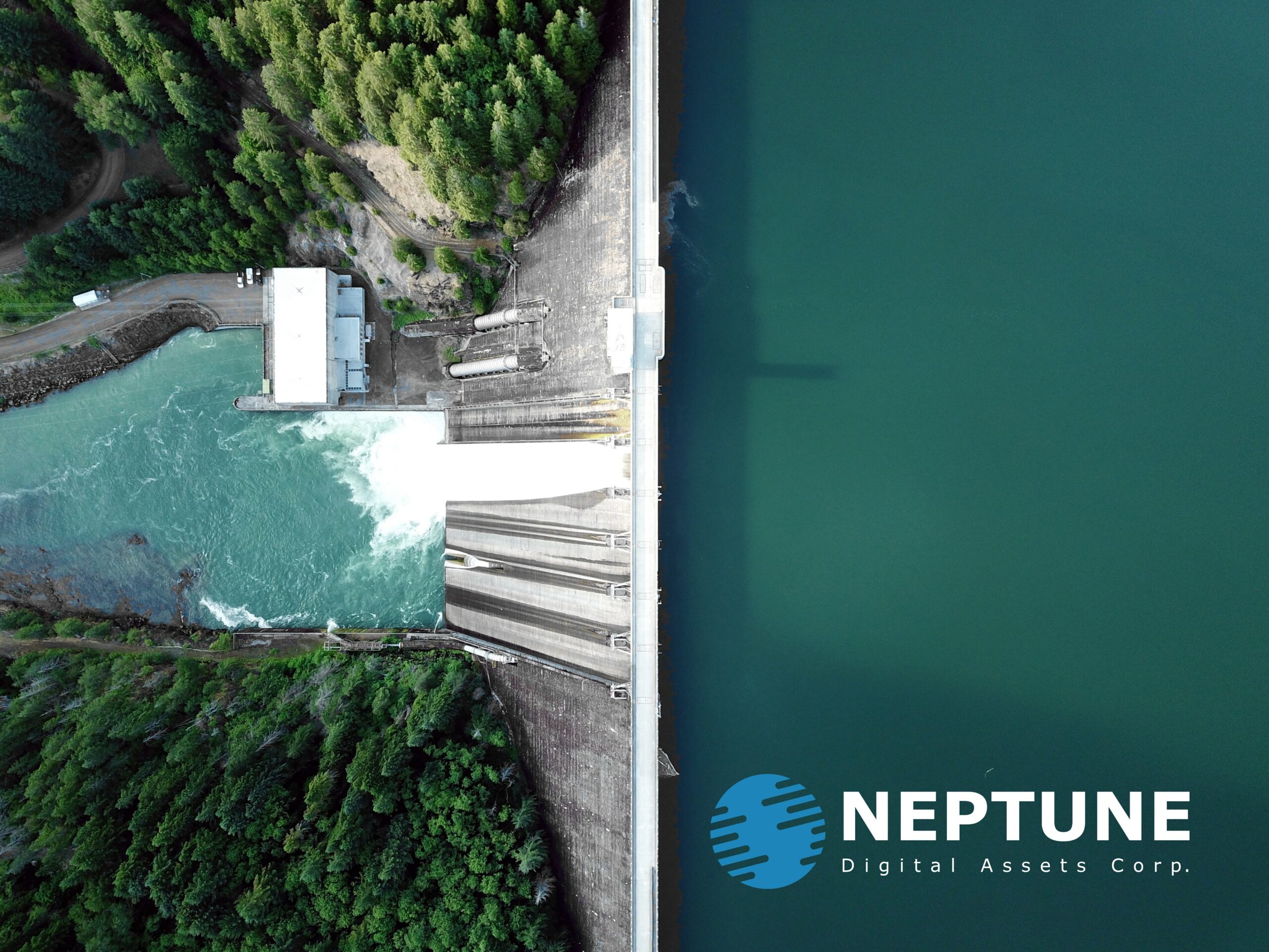 Neptune Digital Assets Announces Appointment of New Auditor - Neptune ...